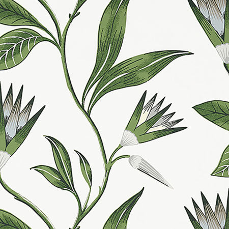 AT9622 CLEO VINE Green And White Anna French Wallpaper – Source4Interiors